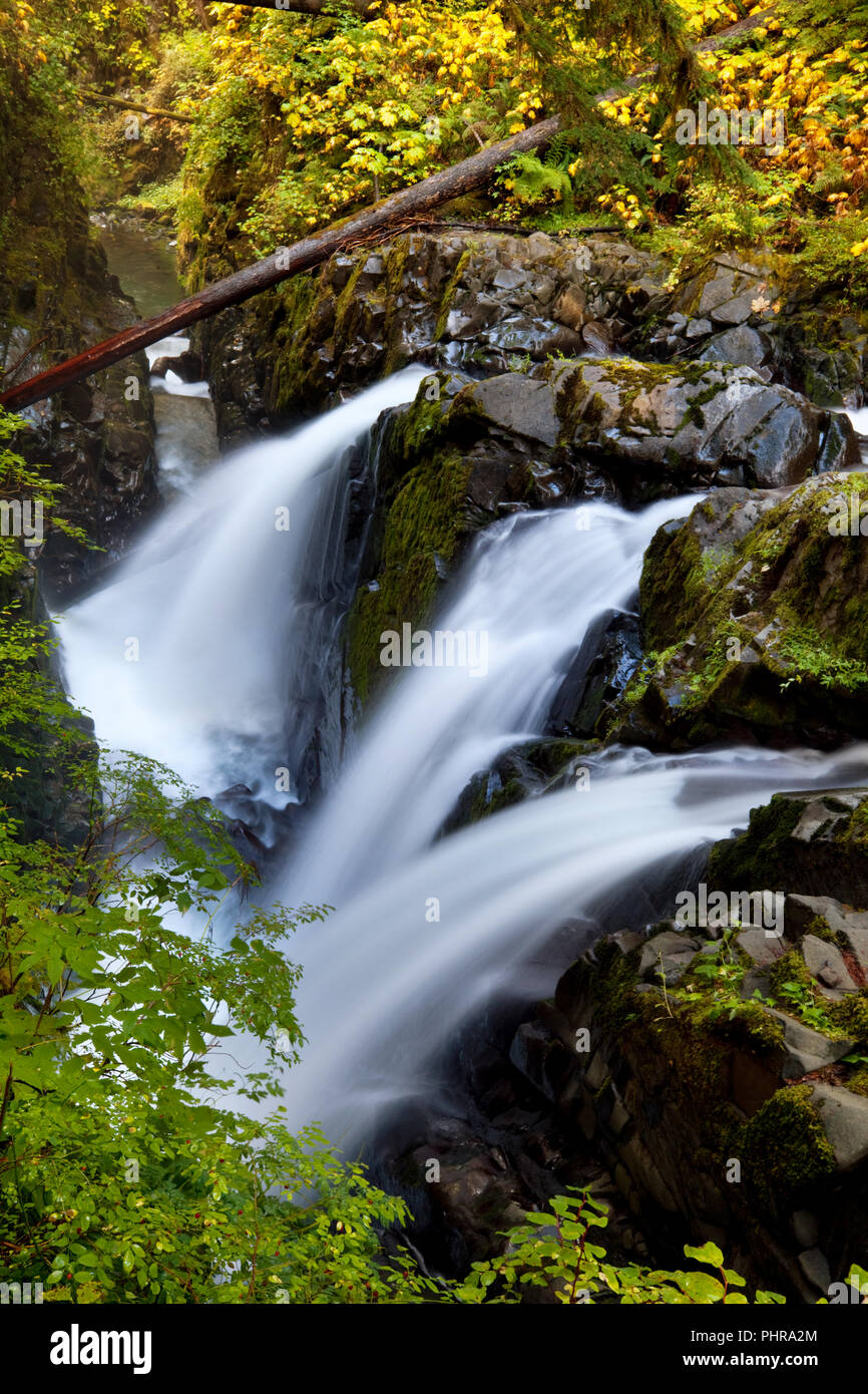 Sol duc creek hi-res stock photography and images - Alamy
