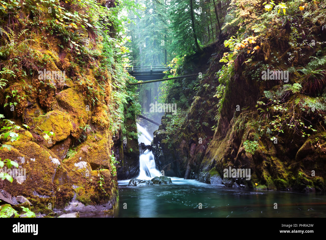 Sol duc wilderness hi-res stock photography and images - Alamy