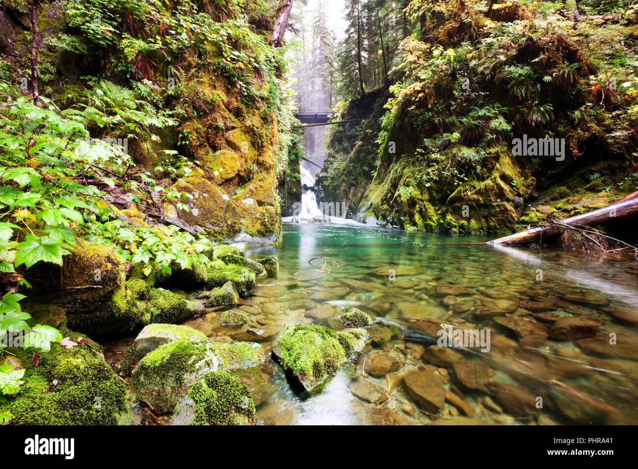 Sol duc wilderness hi-res stock photography and images - Alamy