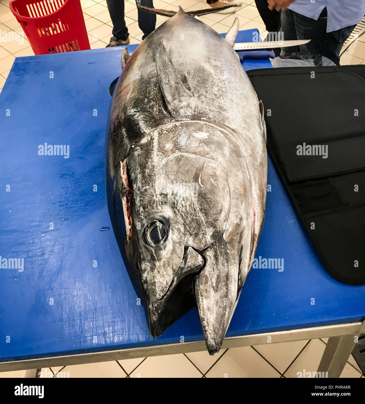 Tuna before being filleted Stock Photo - Alamy