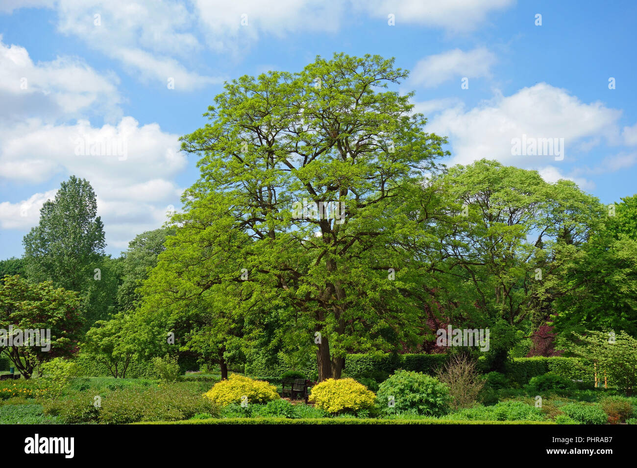 Jenisch hi-res stock photography and images - Alamy