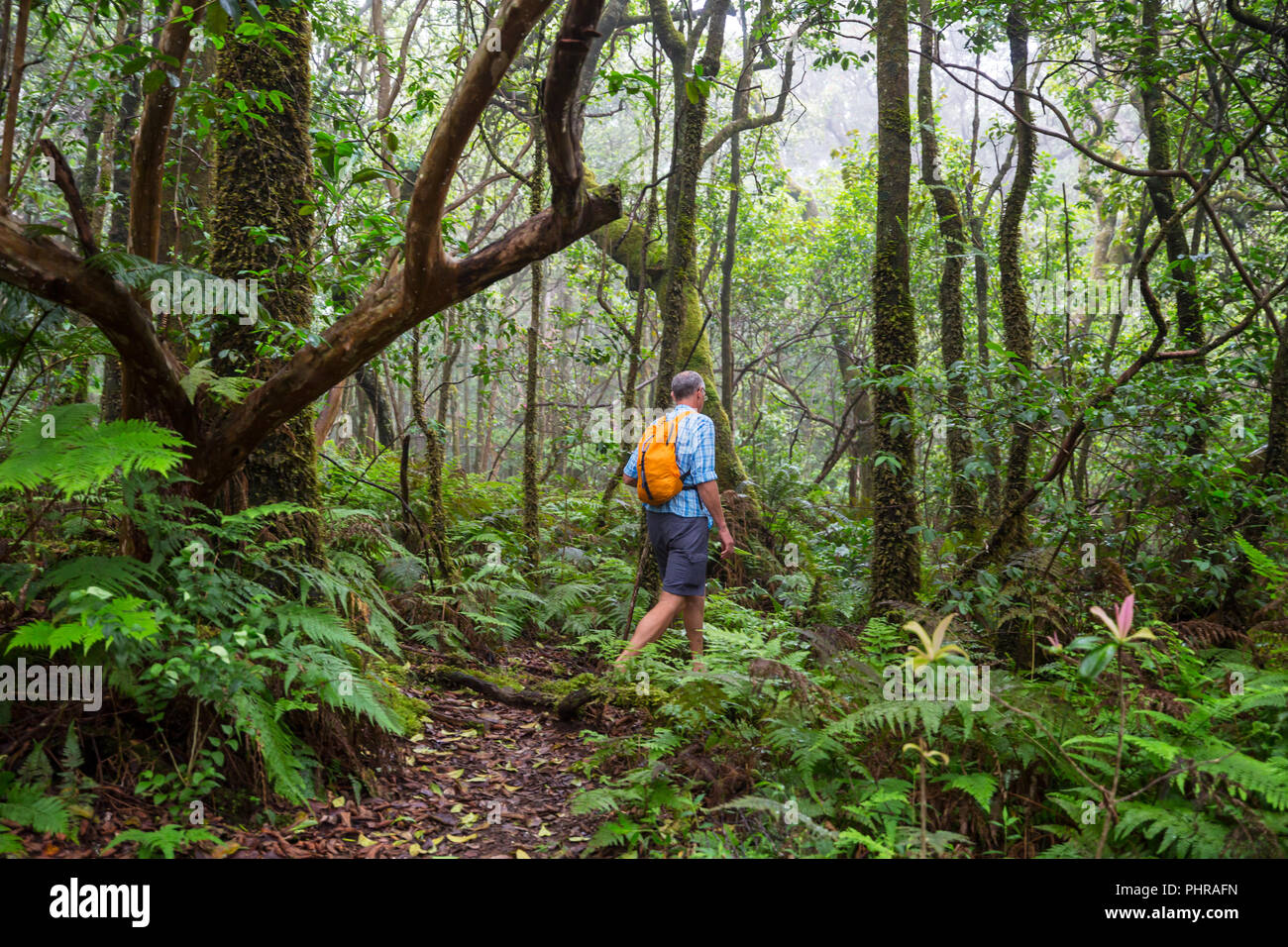 Hawaii 50 hi-res stock photography and images - Alamy