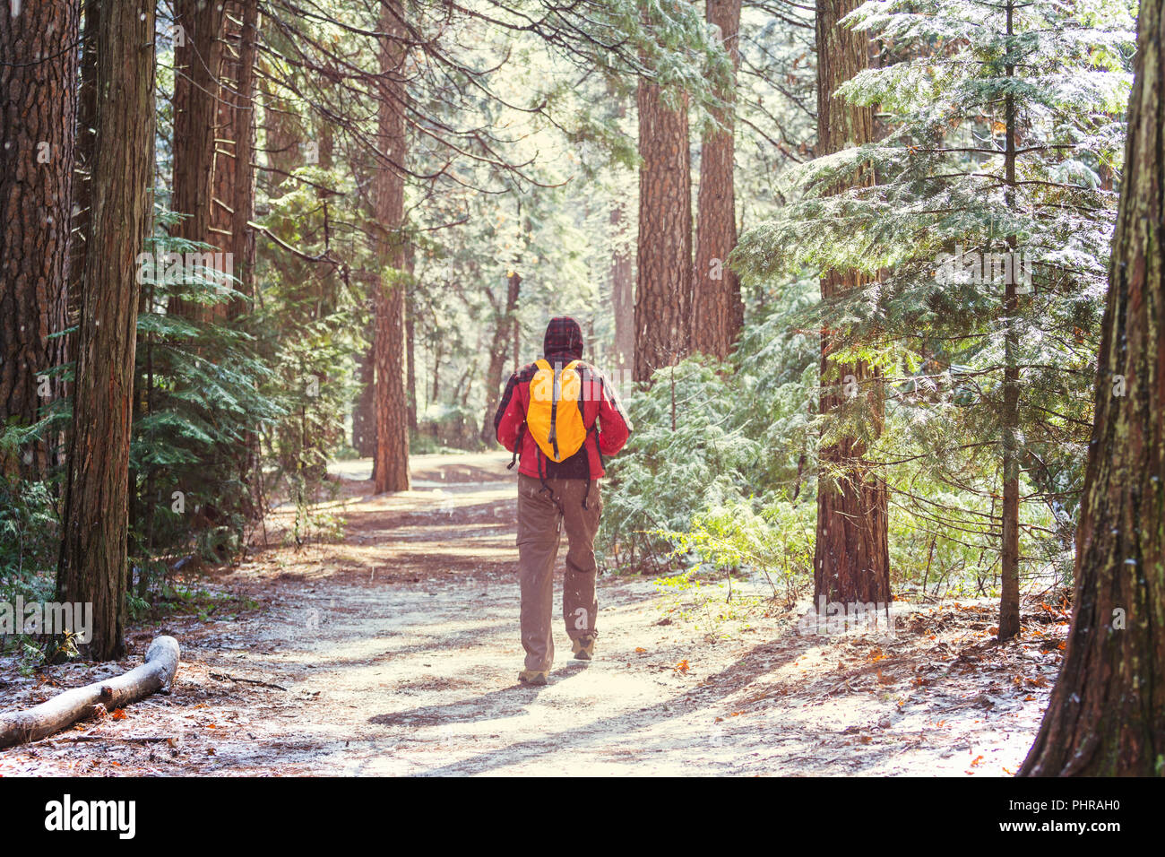 Hike in the forest Stock Photo - Alamy