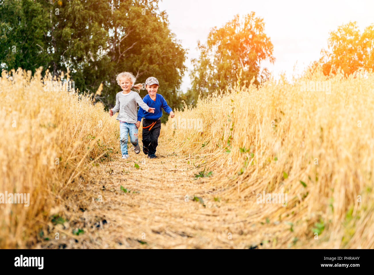 Little boy and girl on a wheat field in the sunlight running, playing ...