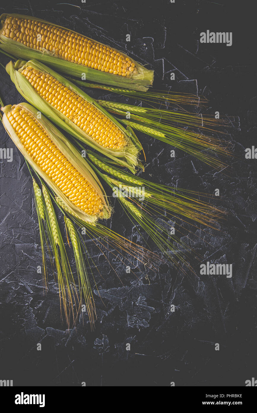 Corn and wheat spikes Stock Photo - Alamy