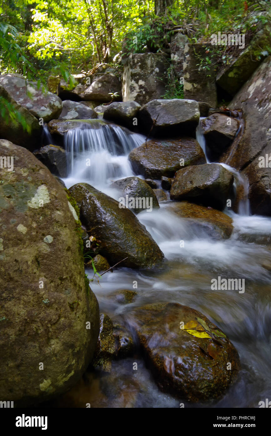 small stream in the rainforest. It makes up those small but very ...