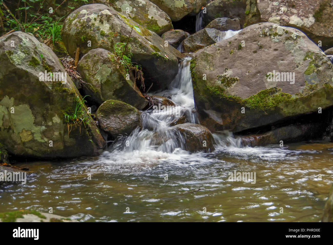 small stream in the rainforest. It makes up those small but very ...