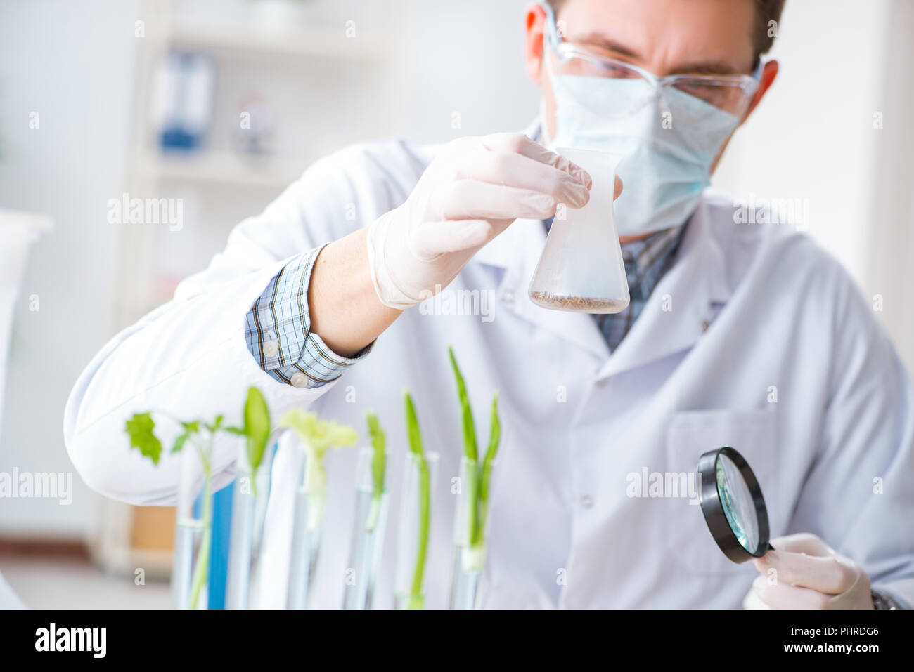Male biochemist working in the lab on plants Stock Photo - Alamy
