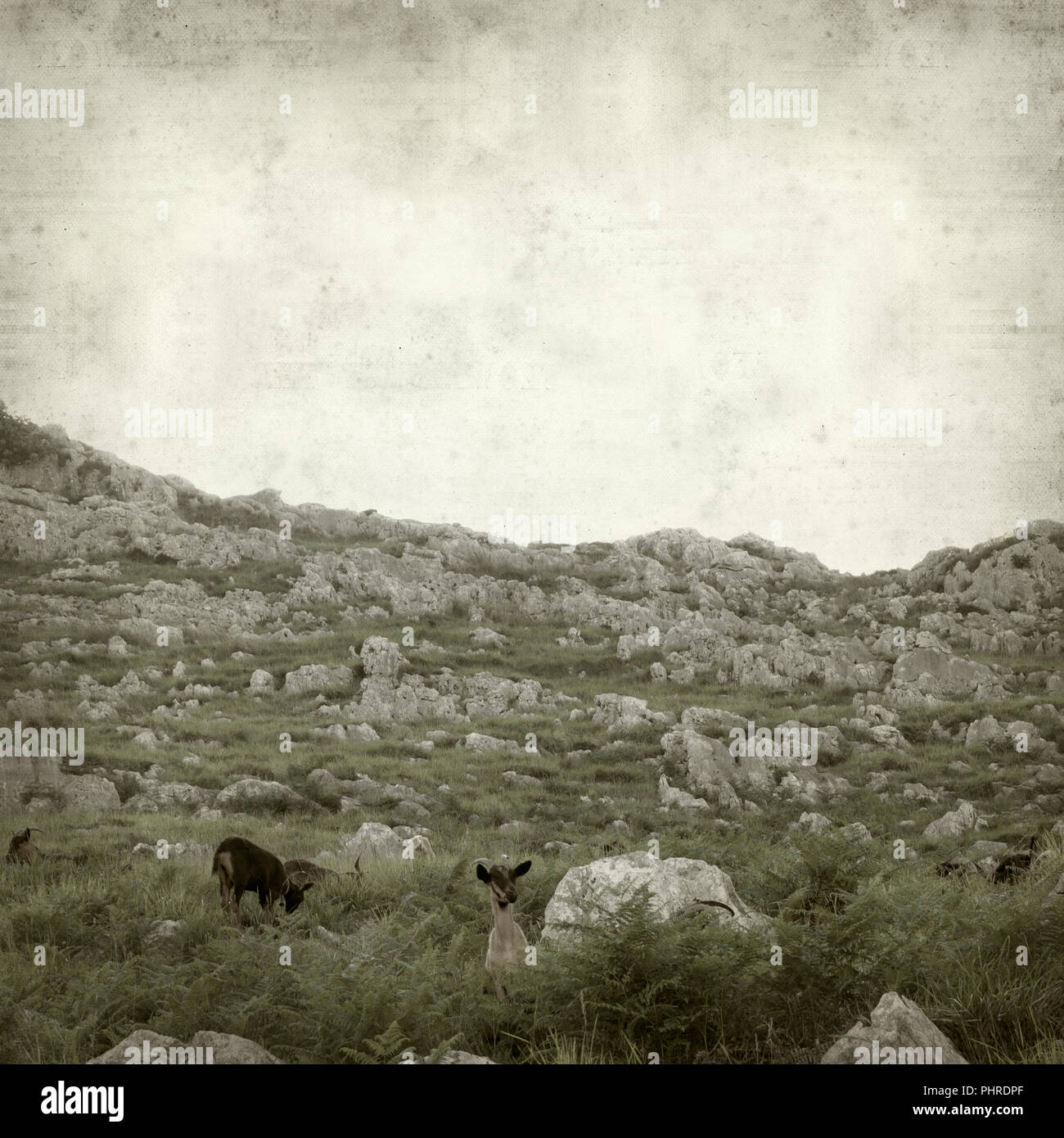 textured old paper background with landscape of Cantabria, Northern ...