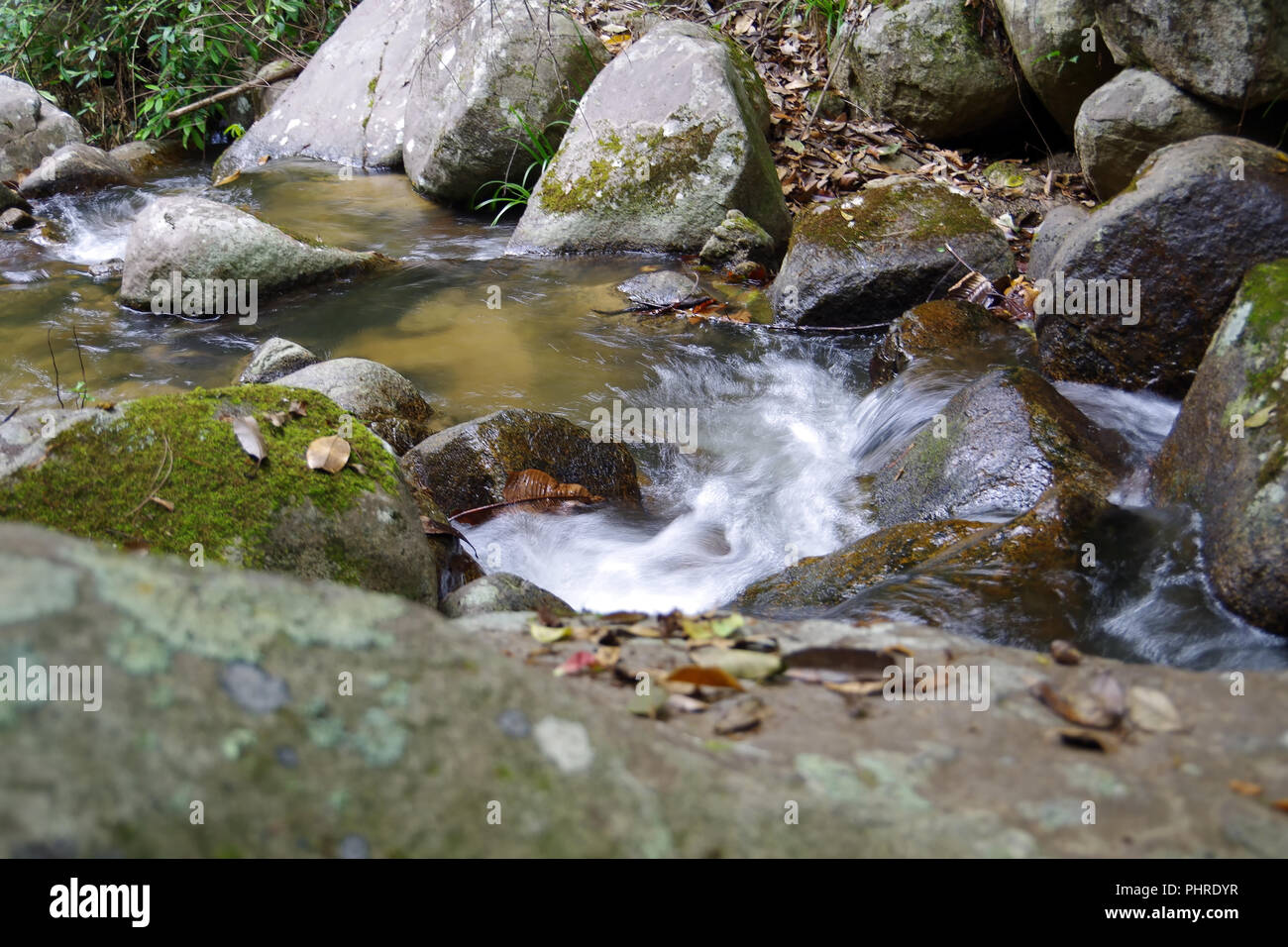 small stream in the rainforest. It makes up those small but very ...