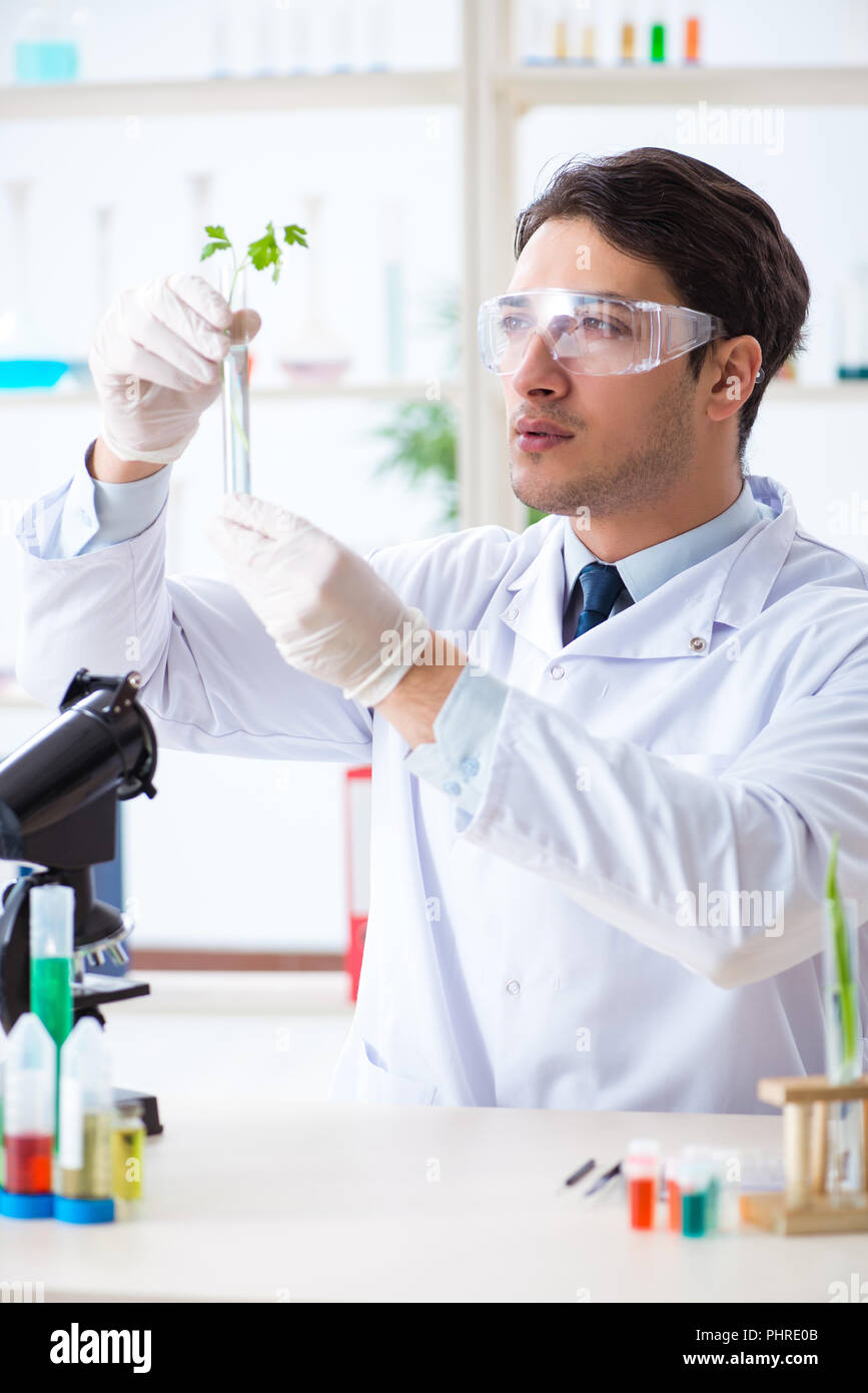 Male biochemist working in the lab on plants Stock Photo - Alamy