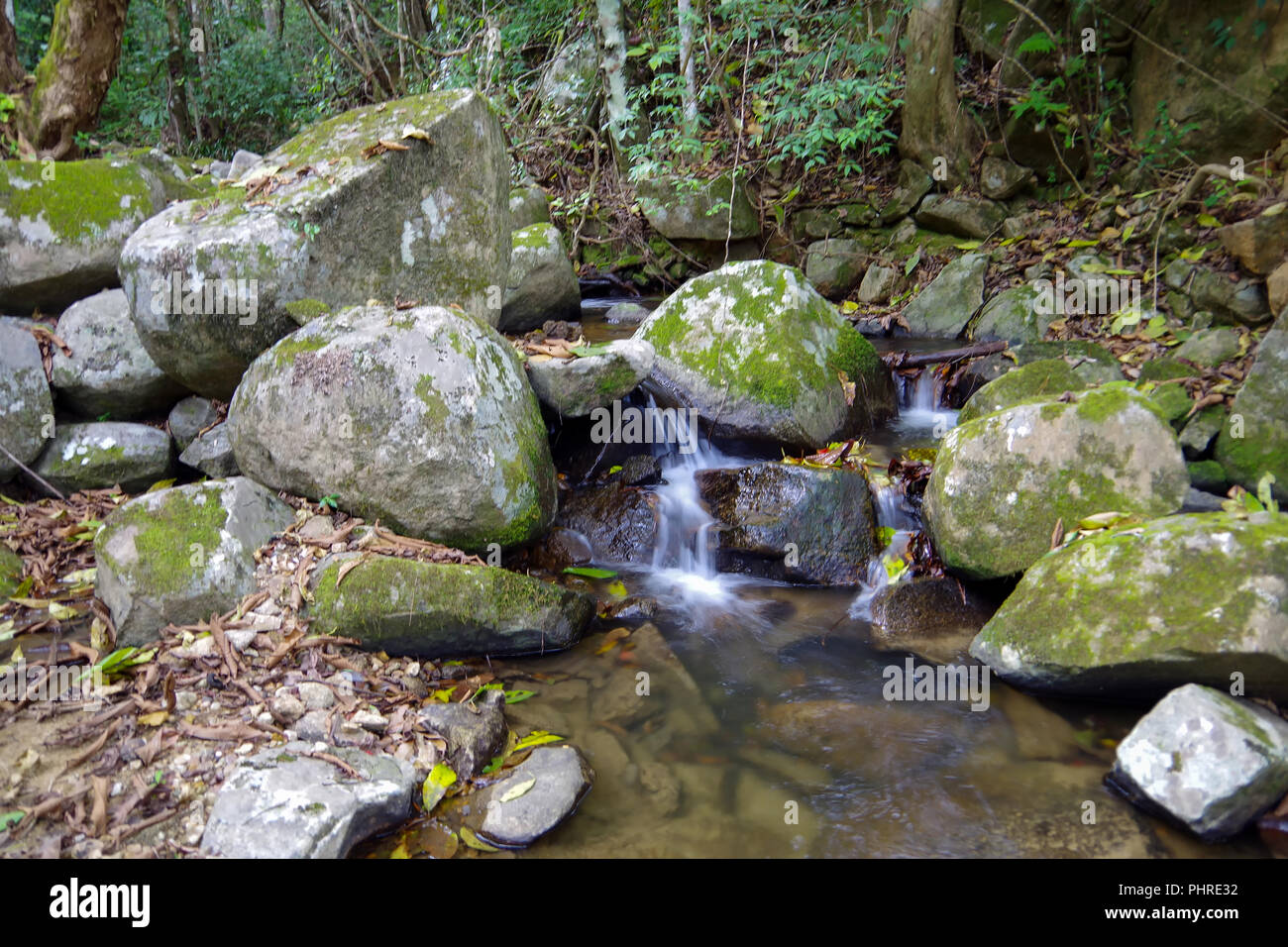 small stream in the rainforest. It makes up those small but very ...