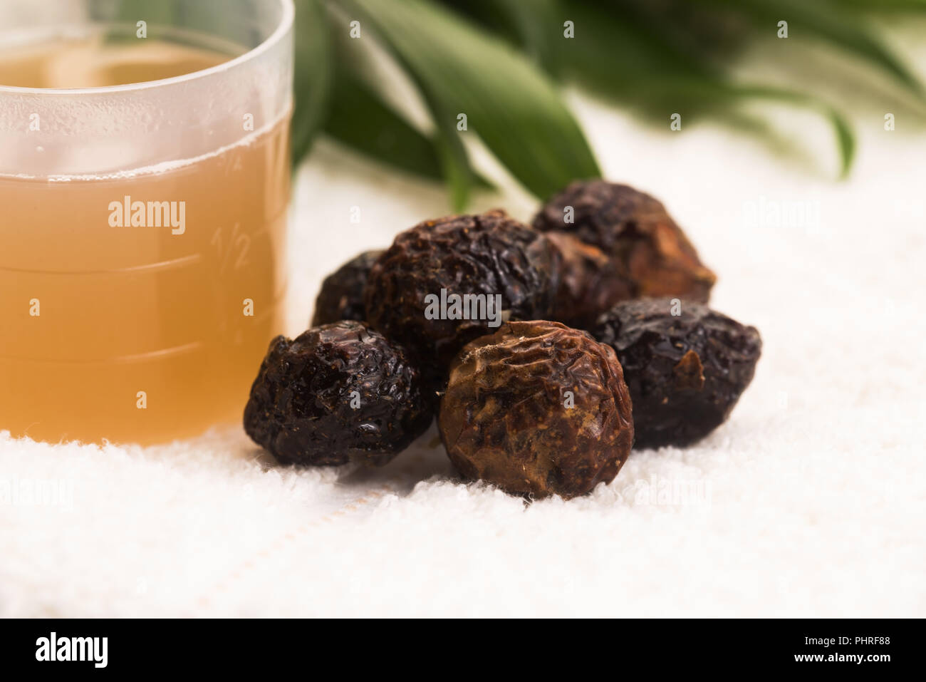 Soap nuts. Pile, cleanser Stock Photo - Alamy