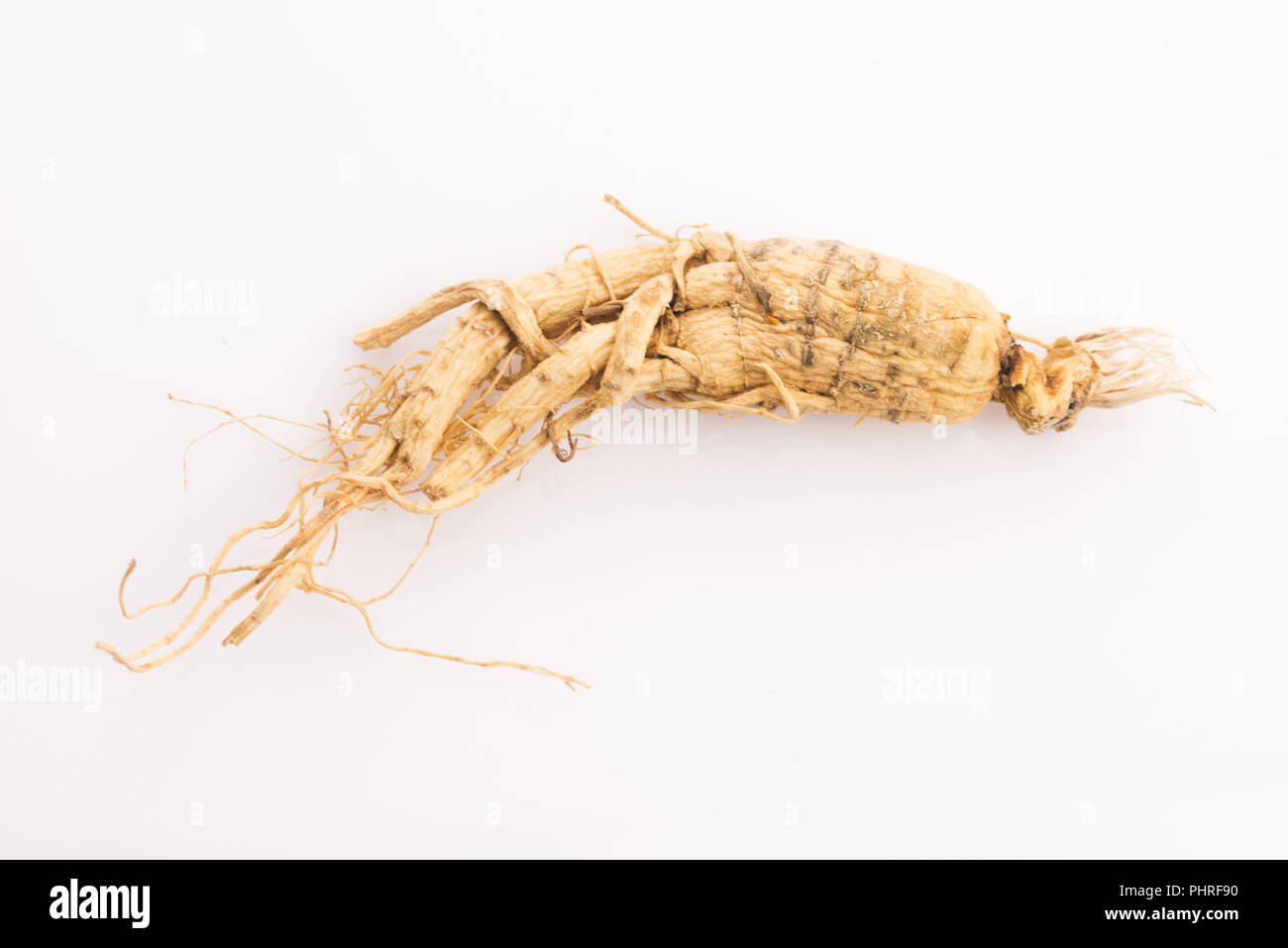 Extract of ginseng root Stock Photo - Alamy