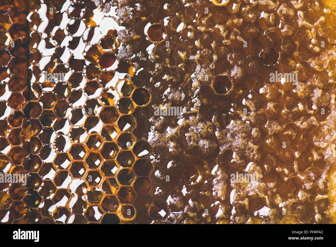 Natural Honey Bee Comb High Resolution Stock Photography and Images - Alamy