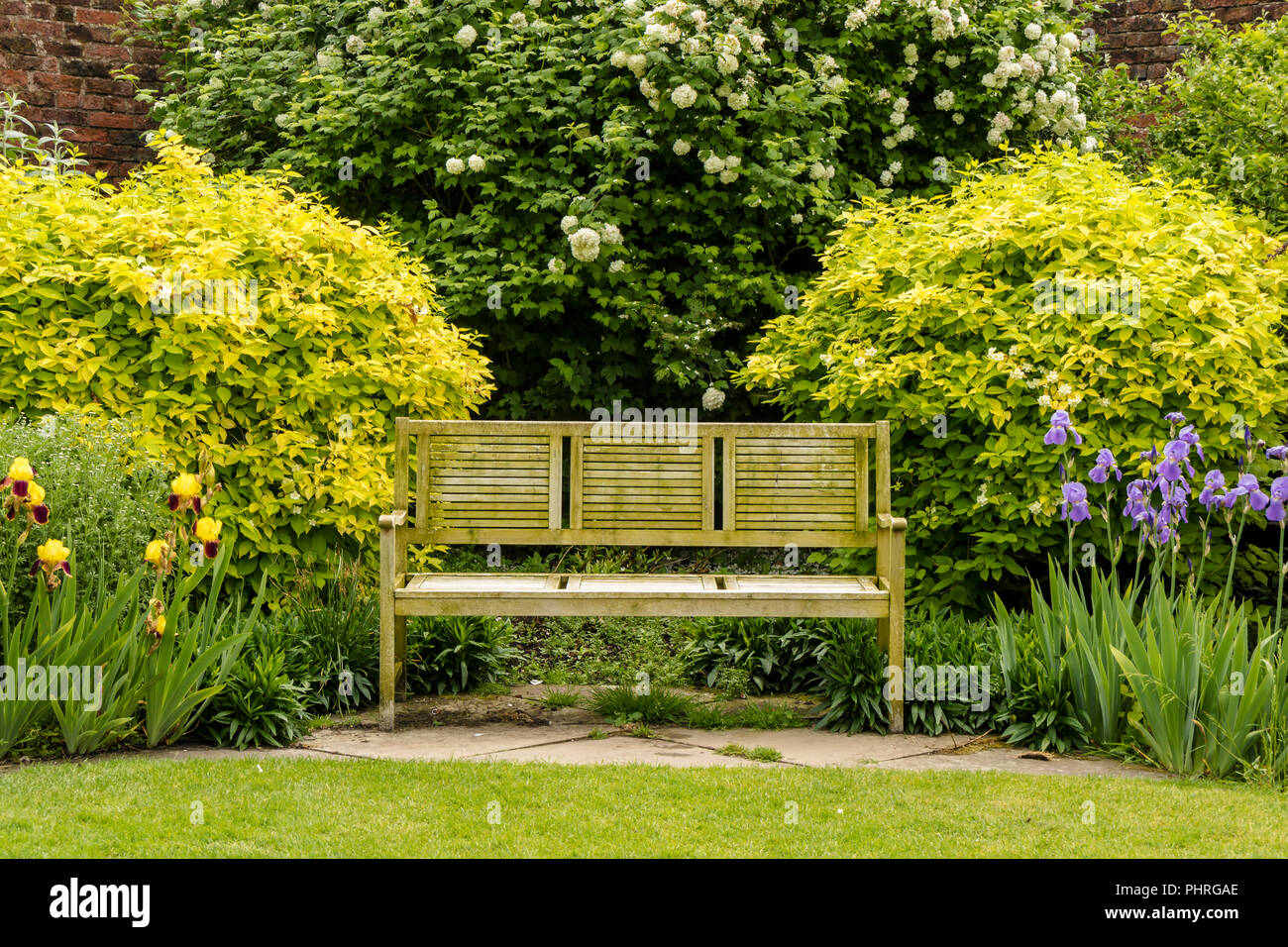 Three seater wooden bench in summer garden full of flowering plants and ...