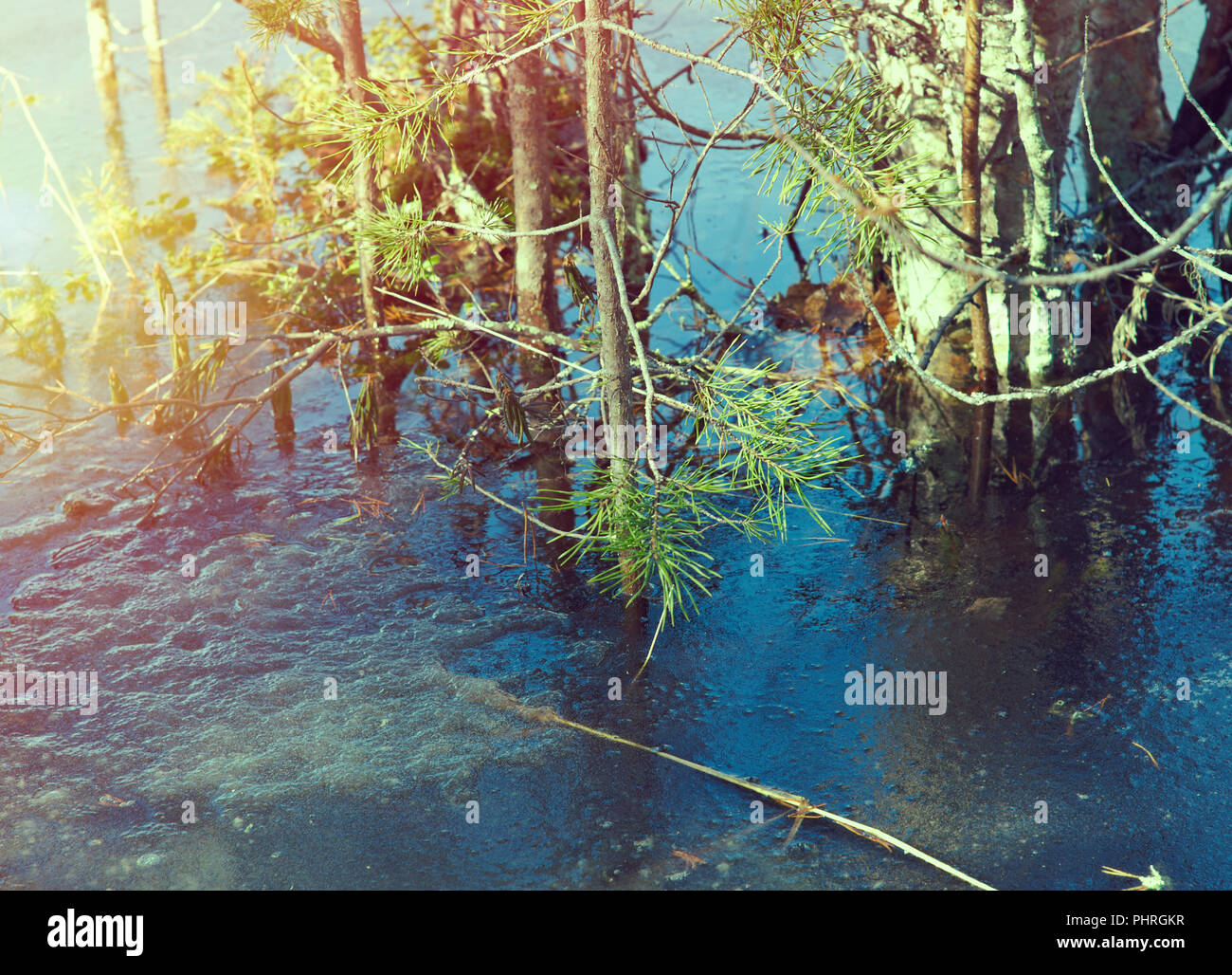 Snow that is melting in the sun hi-res stock photography and images - Alamy