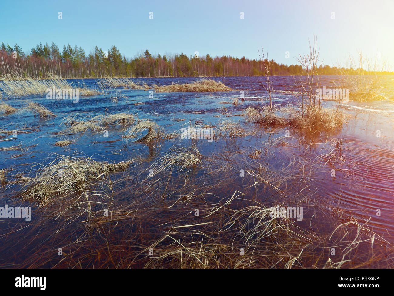 Spring flooding on the lake Stock Photo - Alamy