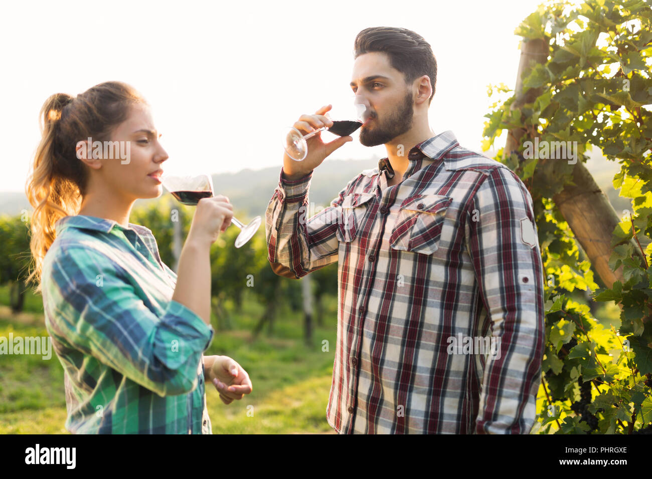 People tasting wine in vineyard Stock Photo - Alamy