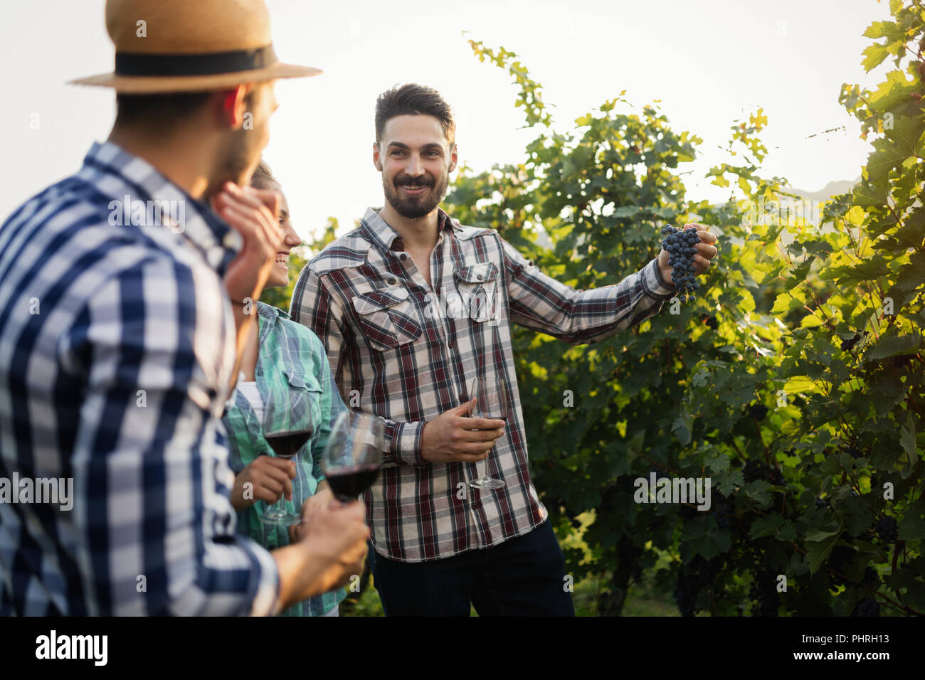 Wine grower and people in vineyard Stock Photo - Alamy