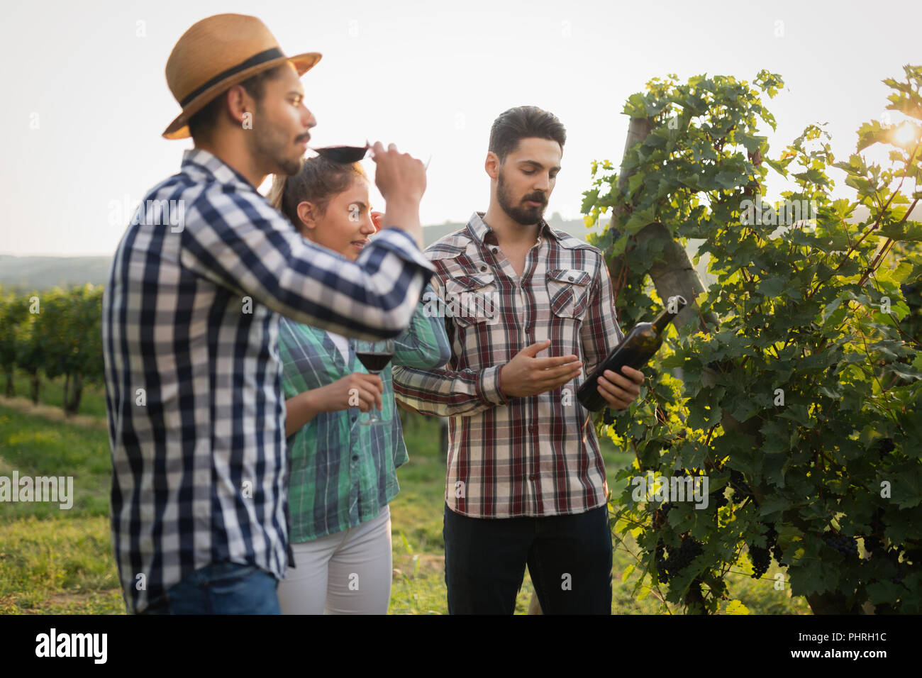 People sampling and tasting wines in vineyard Stock Photo - Alamy