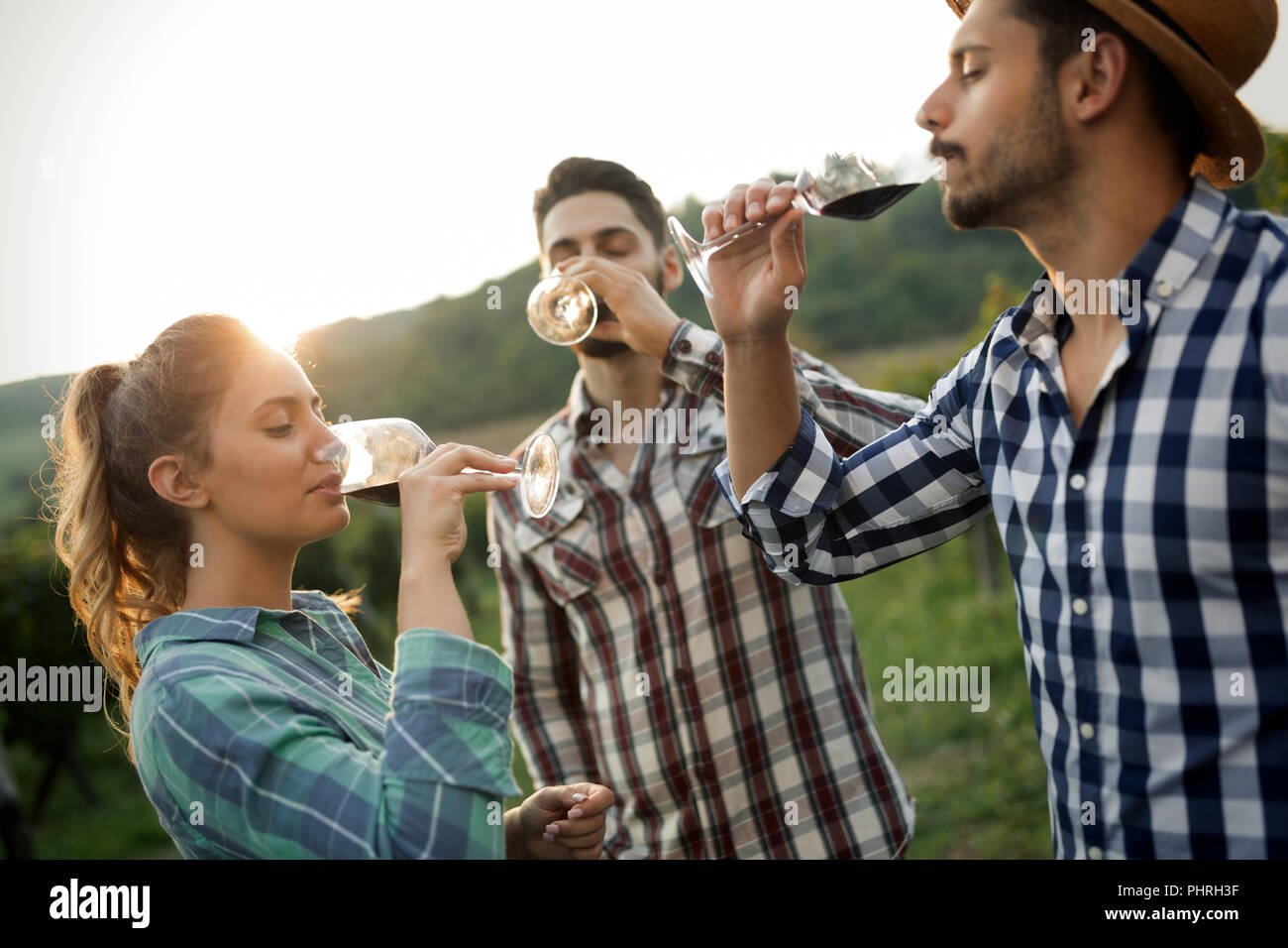 Wine grower and people in vineyard Stock Photo - Alamy