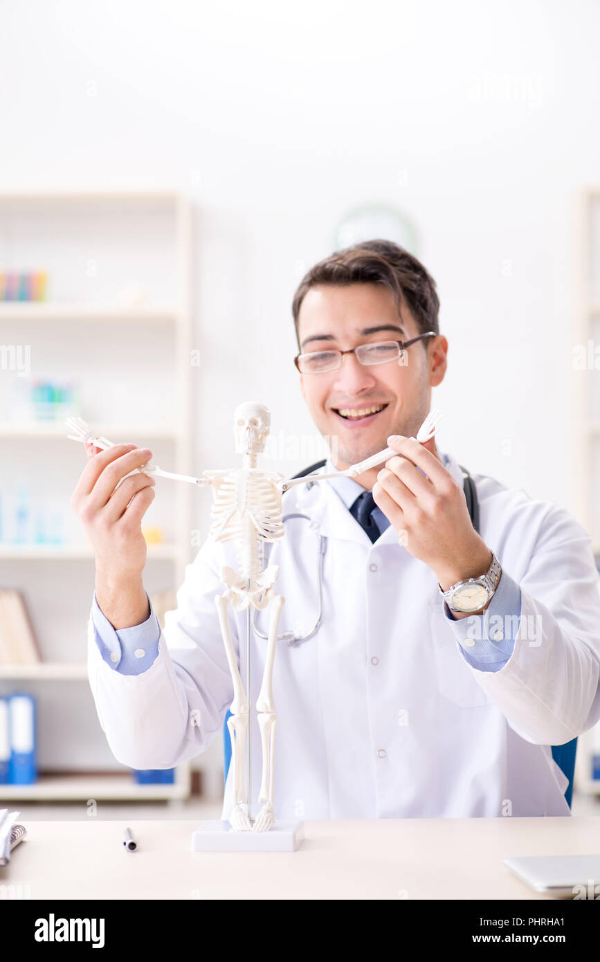 Doctor explaining human body on skeleton Stock Photo - Alamy