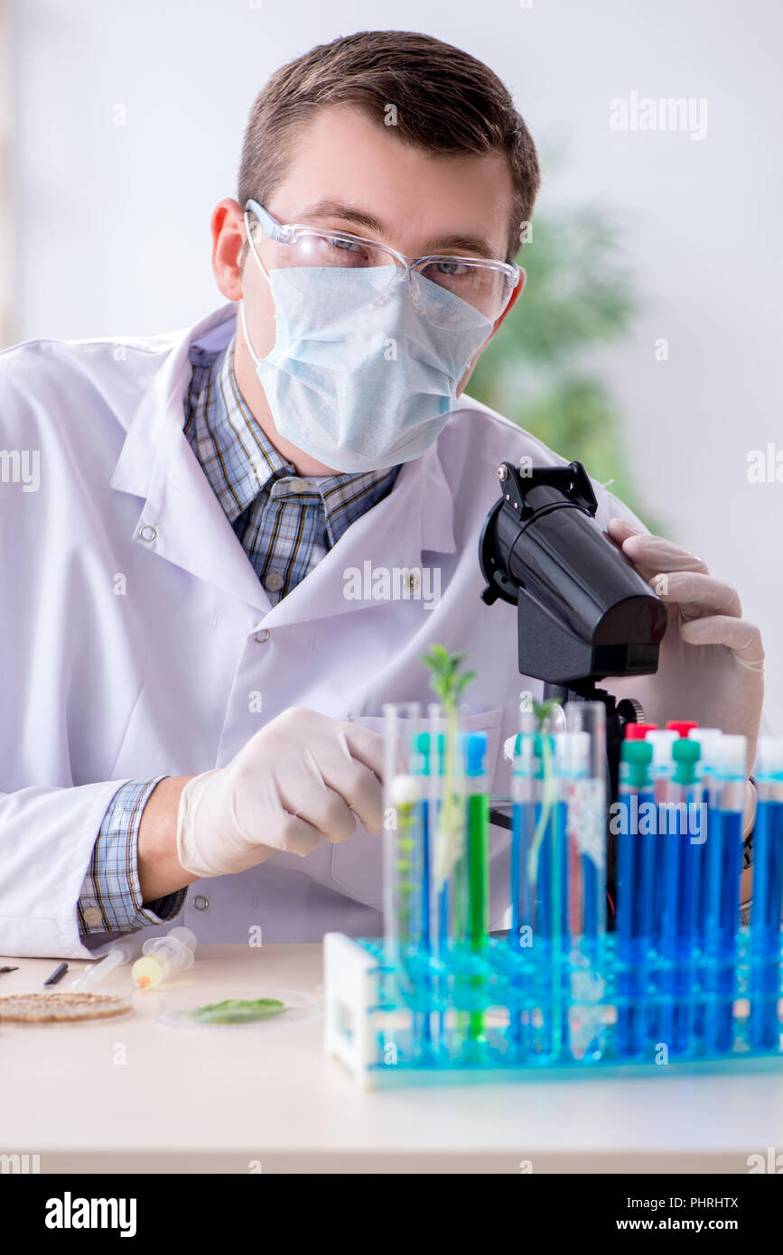 Male biochemist working in the lab on plants Stock Photo - Alamy