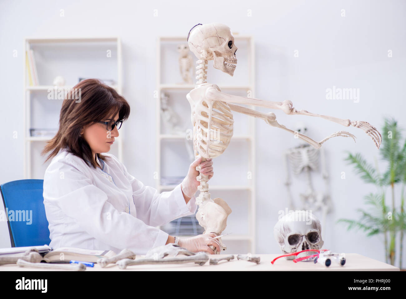 Doctor working in the lab on skeleton Stock Photo - Alamy
