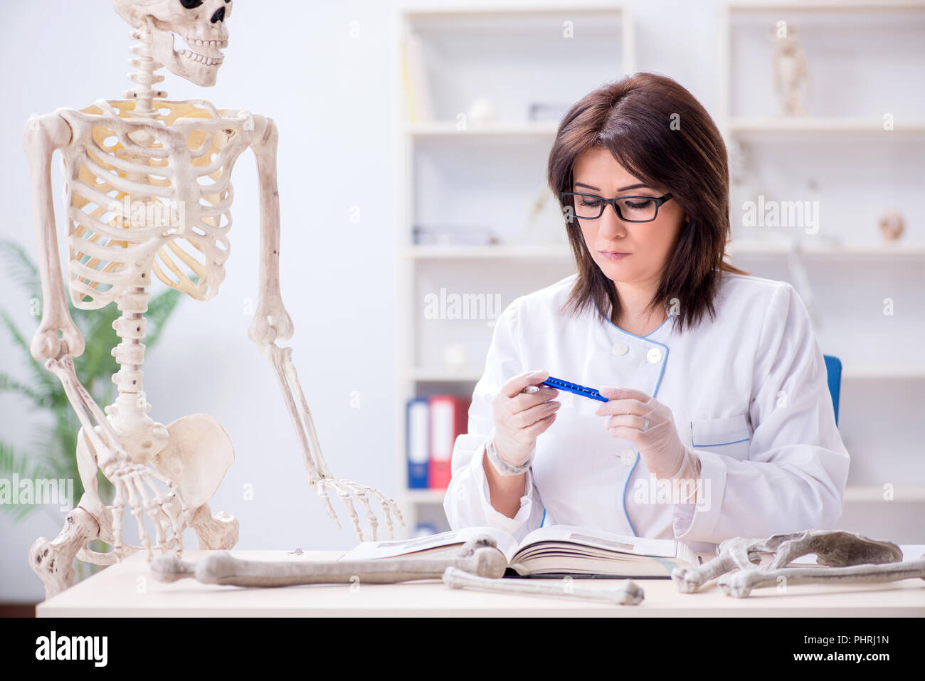 Doctor working in the lab on skeleton Stock Photo - Alamy