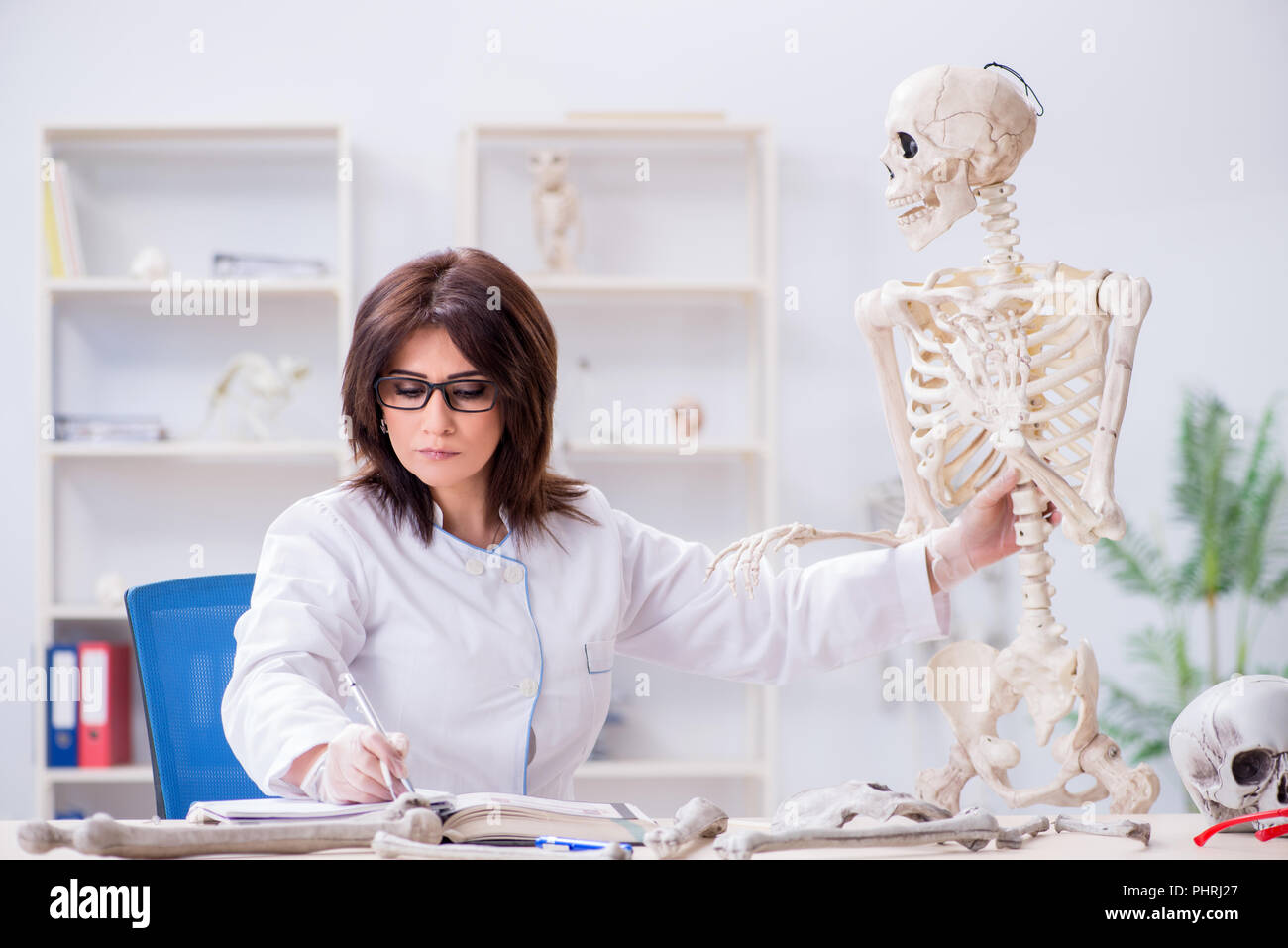 Doctor working in the lab on skeleton Stock Photo - Alamy