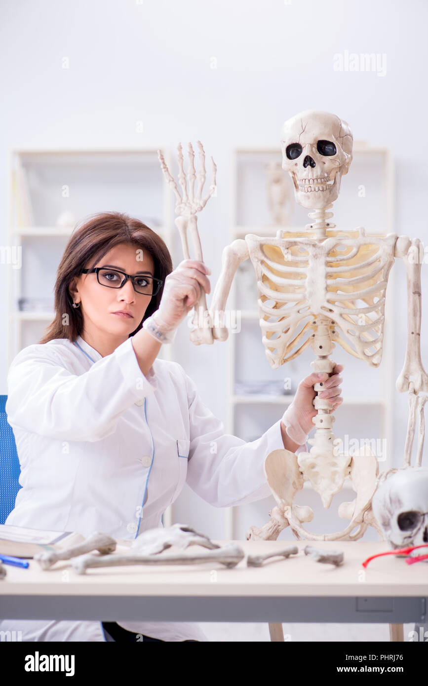 Doctor working in the lab on skeleton Stock Photo - Alamy