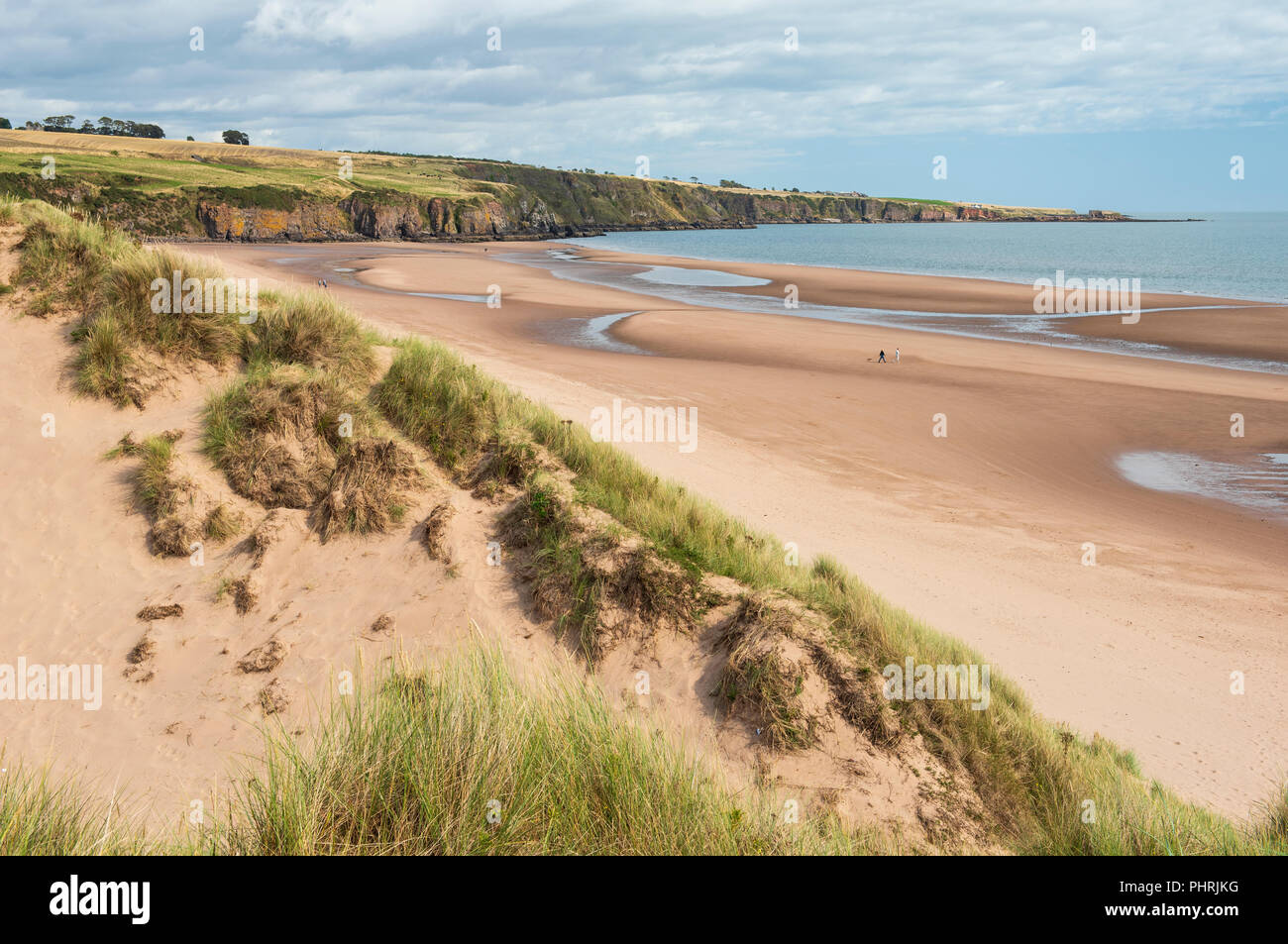 Lunan Bay beach and sand dunes, Angus, Scotland Stock Photo - Alamy