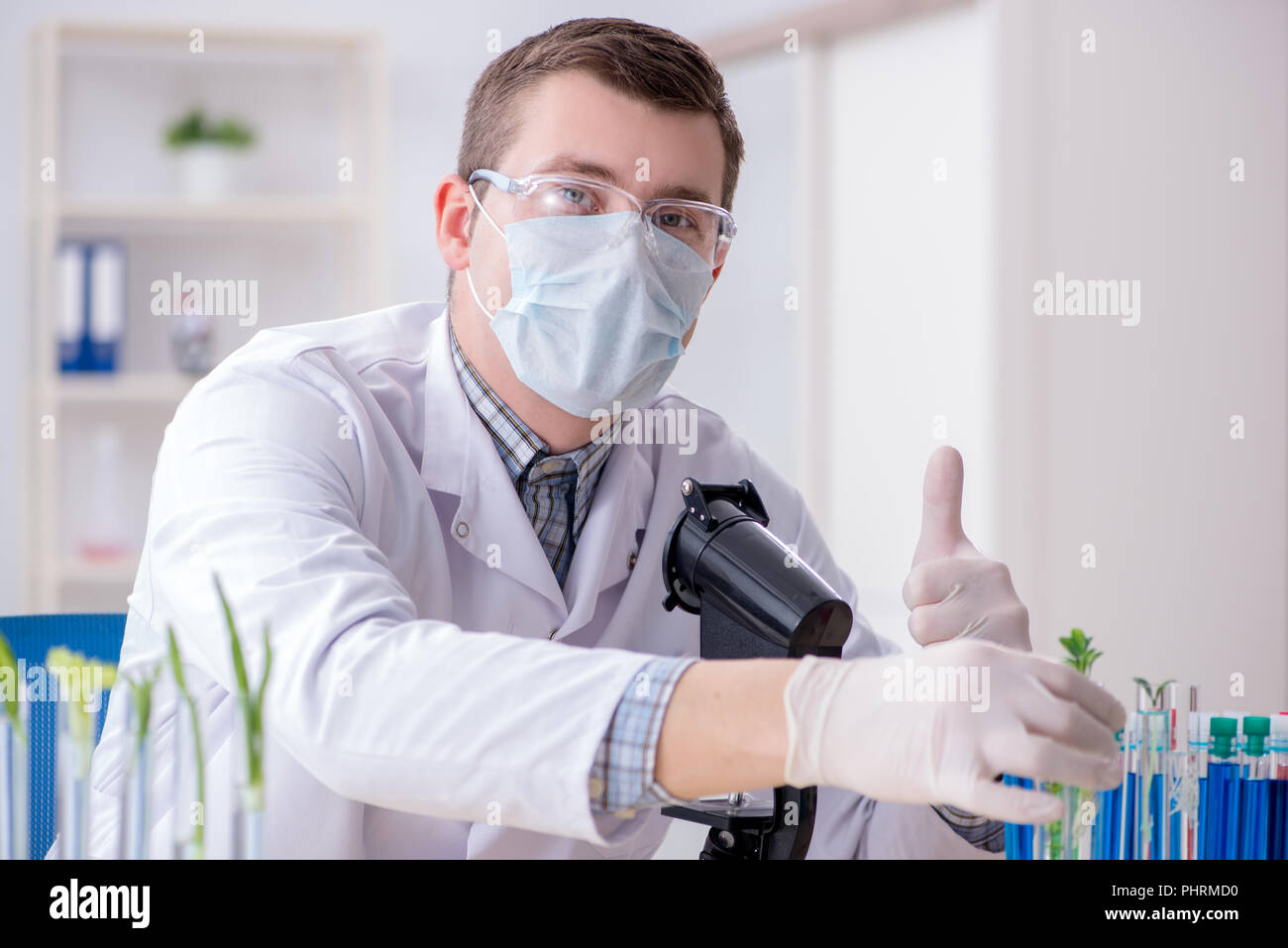 Male biochemist working in the lab on plants Stock Photo - Alamy