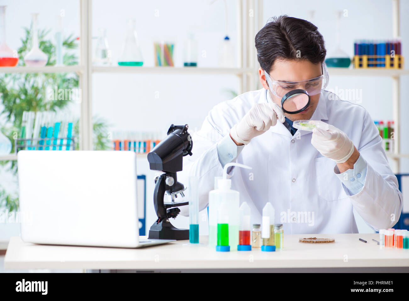 Male biochemist working in the lab on plants Stock Photo - Alamy
