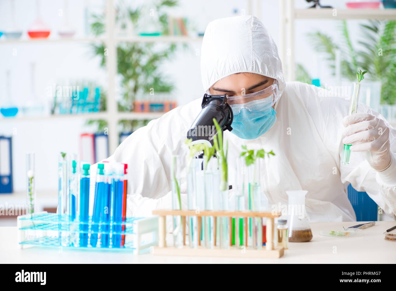 Lab scientist looking plants on hi-res stock photography and images - Alamy