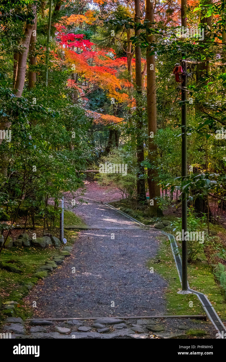 Autumn visit in Sekizan Zen-in Temple, Kyoto, Japan Stock Photo - Alamy