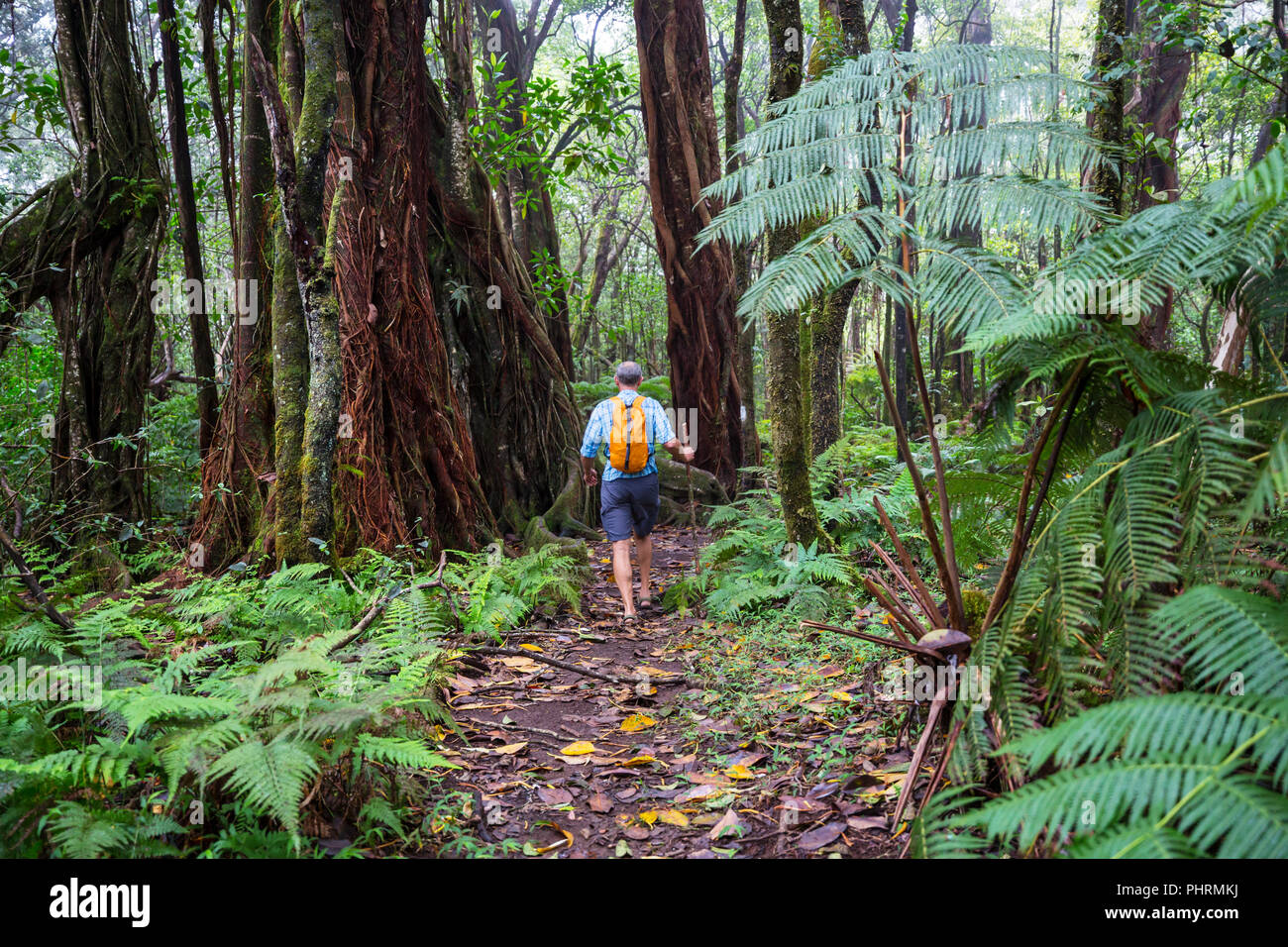 Hilife hi-res stock photography and images - Alamy