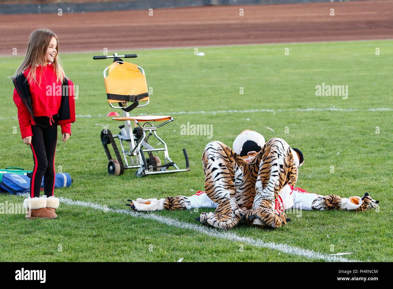 Roary the racing hi-res stock photography and images - Alamy