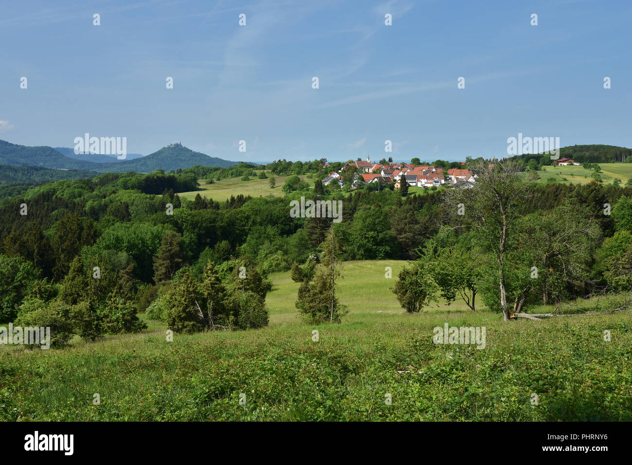 common juniper; juniper landscape; swabian alps; near castle ...