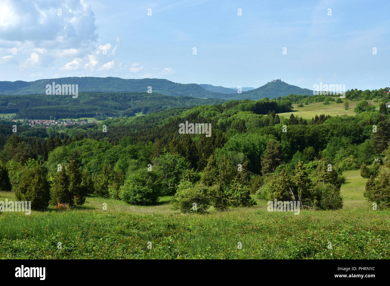 common juniper; juniper landscape; swabian alps; near castle ...