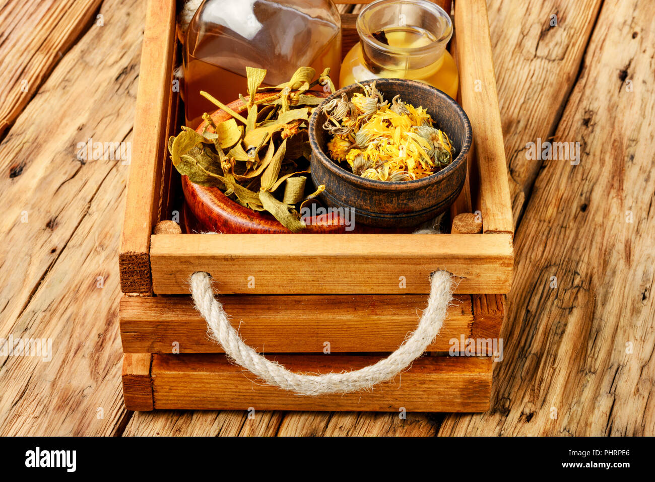 Celandine root hi-res stock photography and images - Alamy