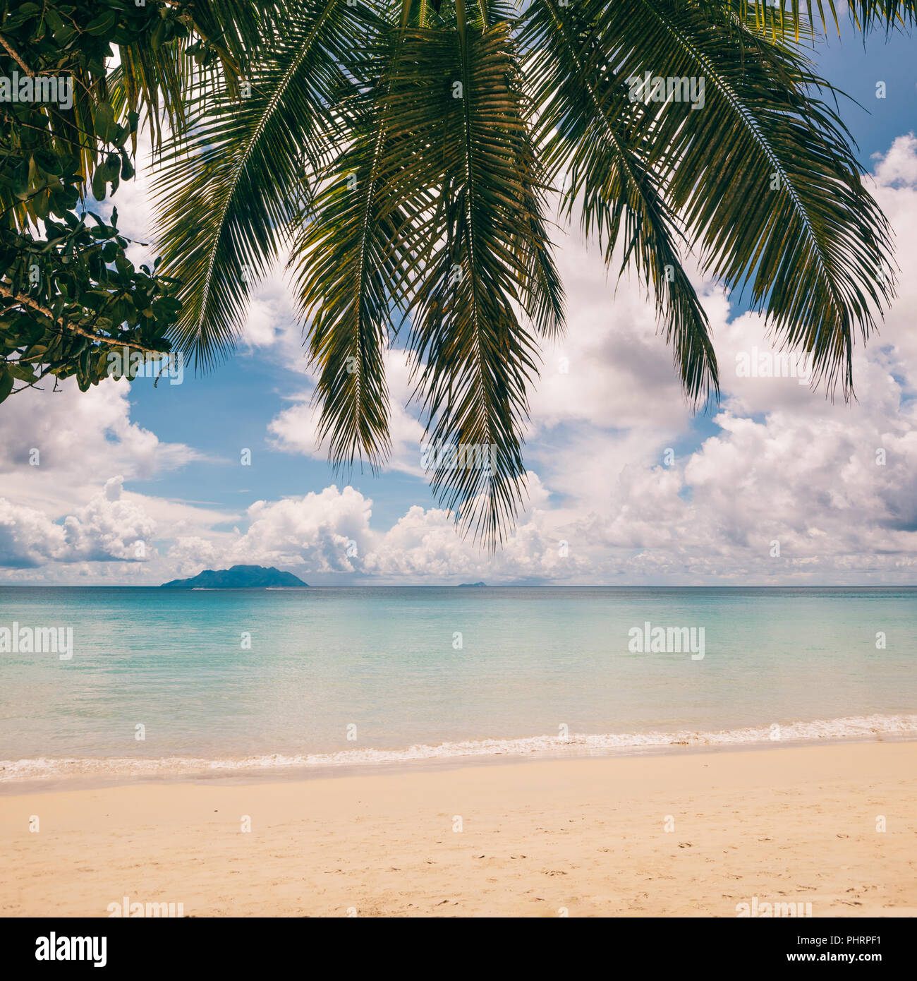 Tropical island beach. Perfect vacation background Stock Photo - Alamy