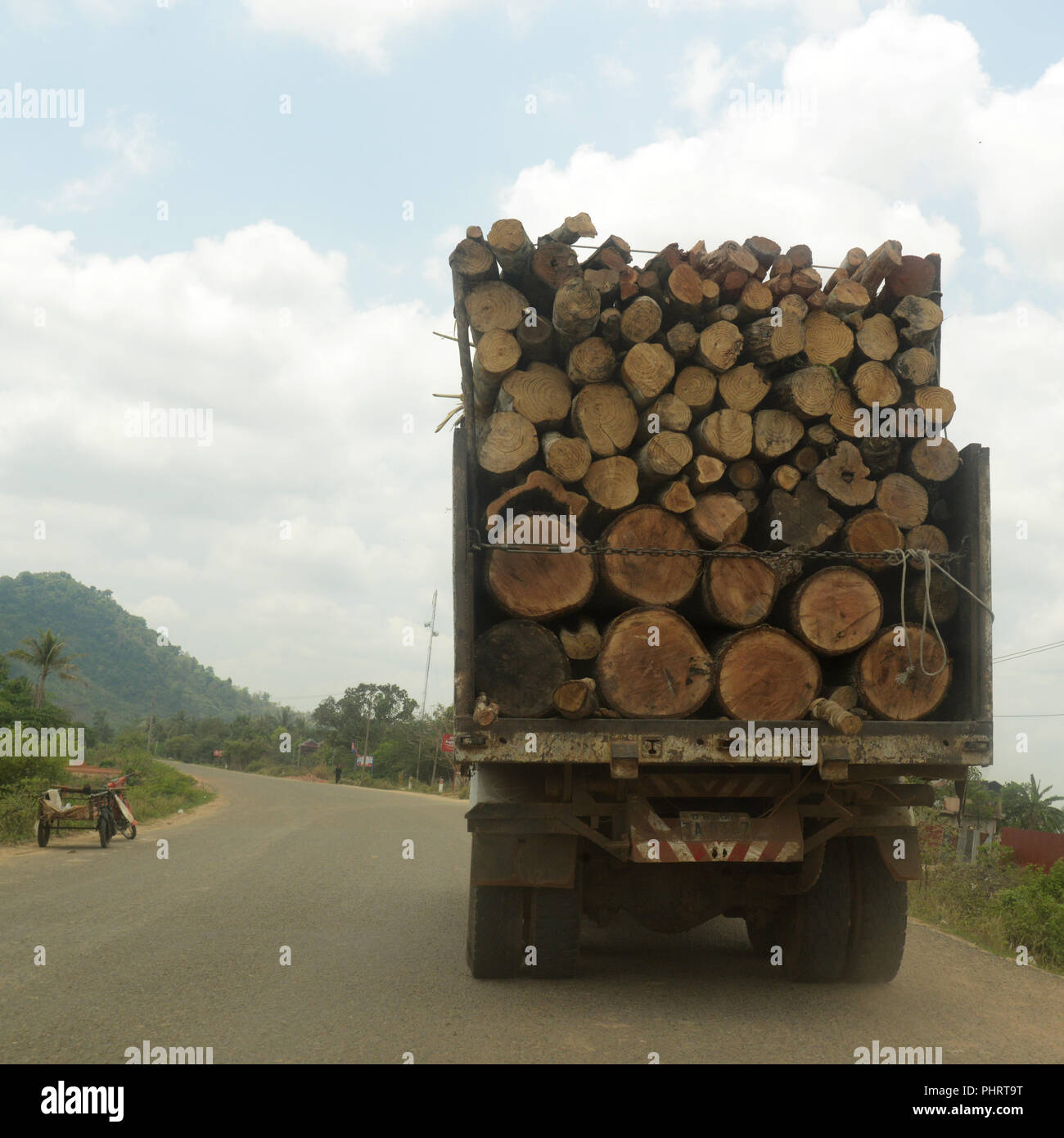 Wood transport hi-res stock photography and images - Alamy