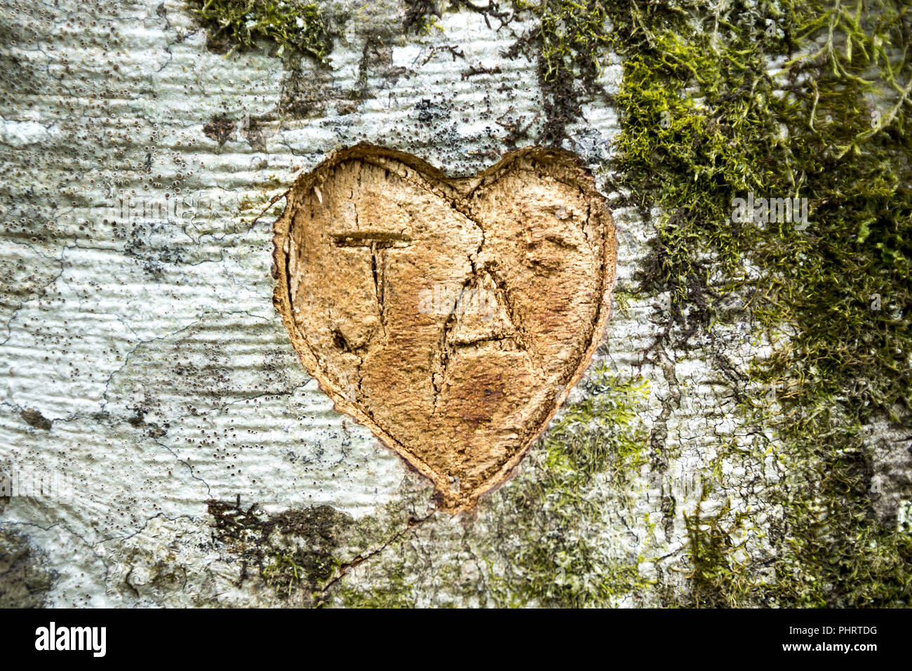 Ja word hi-res stock photography and images - Alamy