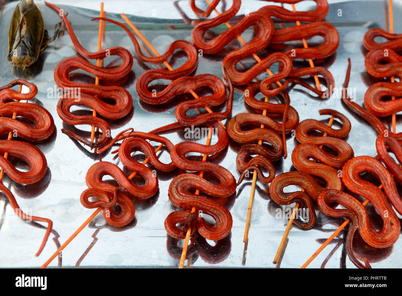 Snakes of cambodia hi-res stock photography and images - Alamy