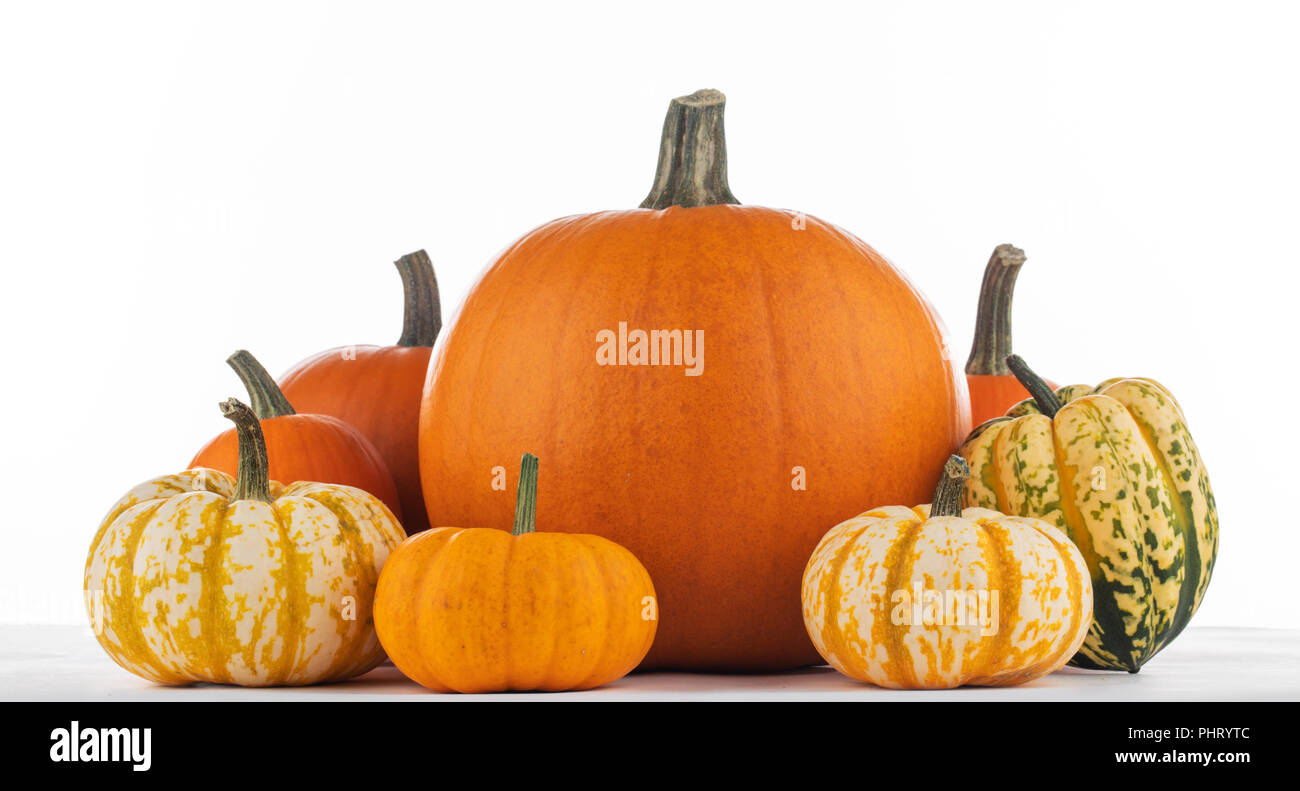 Group of various kinds of pumpkins isolated on white background Stock ...