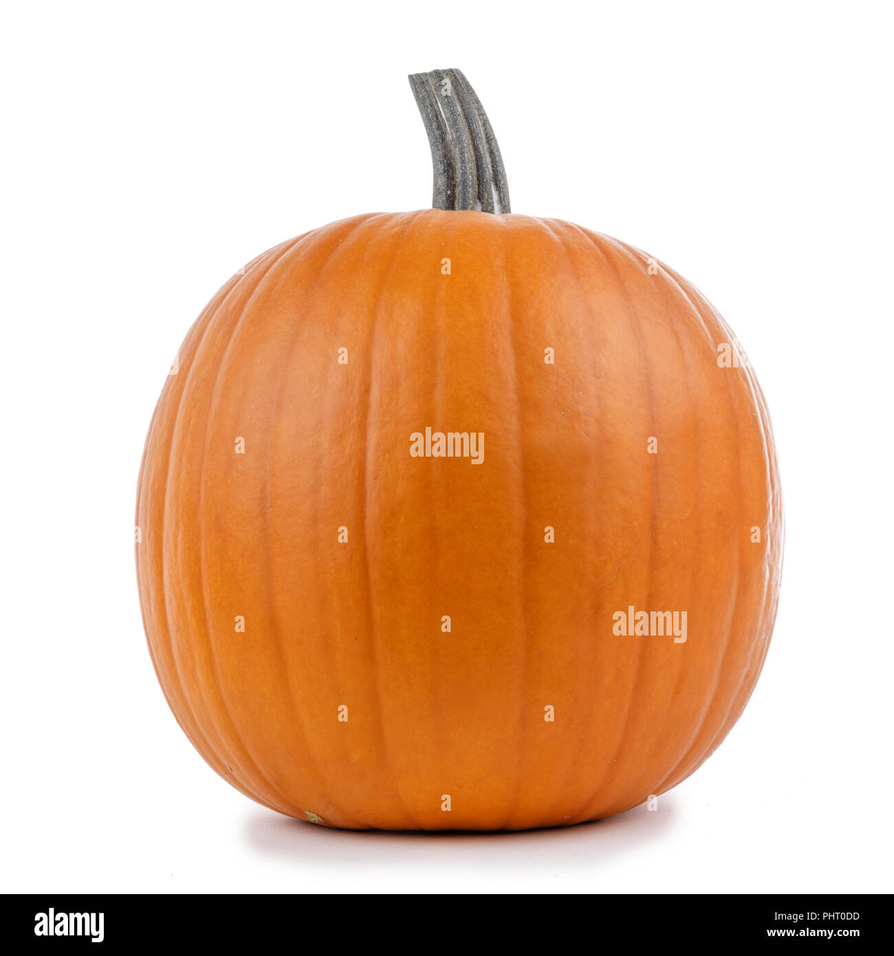 One orange pumpkin isolated on white background, Halloween concept ...