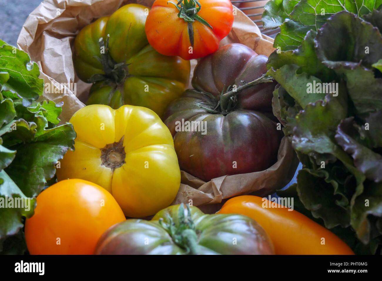 the different rustic tomatoes from the garden Stock Photo - Alamy