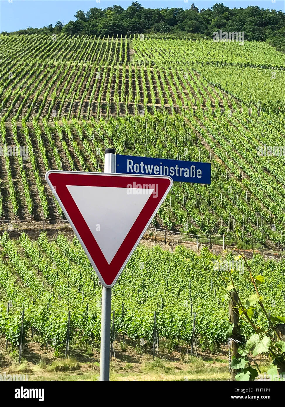 Road sign Rotweinstraße in the Ahr valley Stock Photo - Alamy